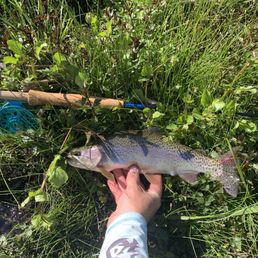 RIGHTEOUS SLICE - Updated May 2025 - 151 Photos & 169 Reviews - 175 W ...