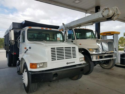 TIM KILPATRICK TREE SERVICE - Updated September 2025 - 21 Photos ...