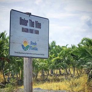 EVER AFTER FARMS - Updated November 2025 - Request a Quote - 42 Photos ...