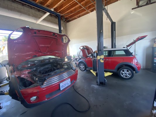 EUROTECH MOTORSPORTS - Updated October 2025 - 115 Photos & 146 Reviews ...