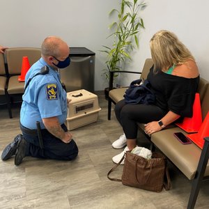 NORTH HAVEN AUTO BODY - Updated September 2024 - 25 Photos & 39 Reviews ...