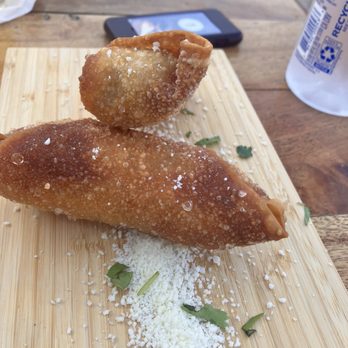 SWAMP CAT BREW - Updated October 2025 - 72 Photos & 27 Reviews - 1943 ...