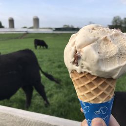 TANNER BROTHERS DAIRY - Updated September 2025 - 102 Photos & 166 ...