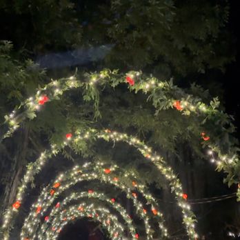 ALLIANCE REDWOODS CONFERENCE GROUNDS - Updated January 2026 - 100 ...