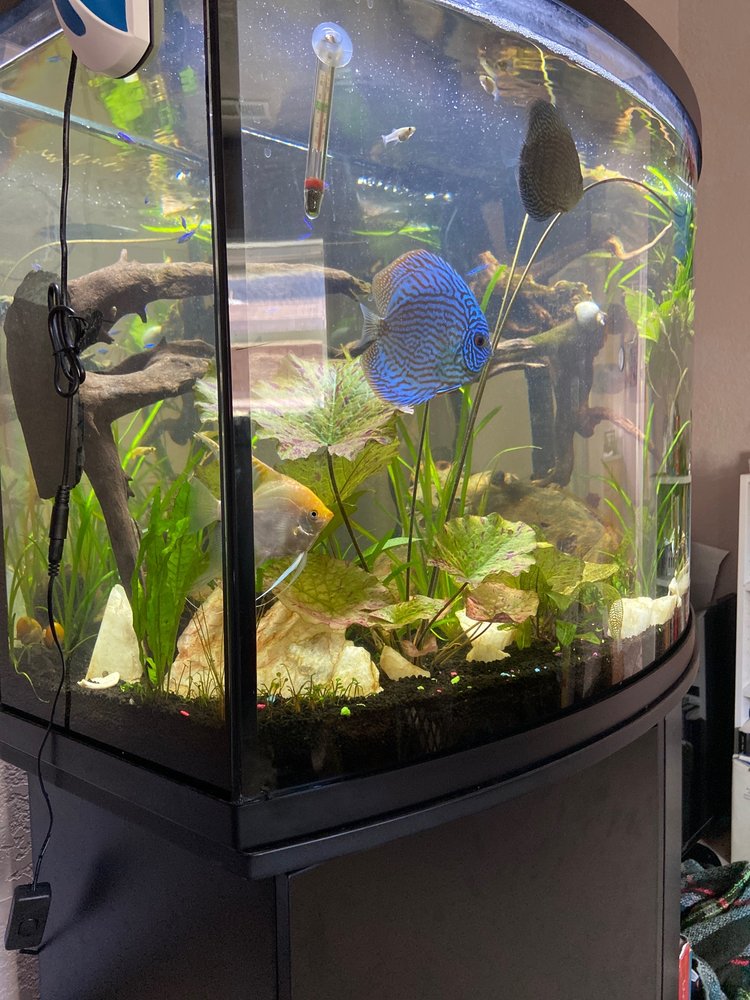 FISH DEN - Updated June 2025 - 19 Photos & 83 Reviews - 5055 W 44th Ave ...