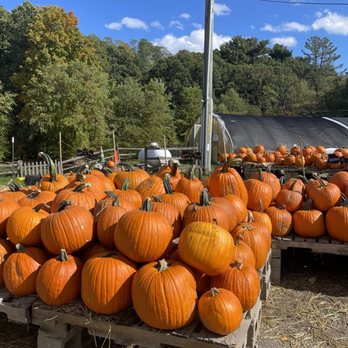 ALLANDALE FARM - Updated October 2025 - 113 Photos & 71 Reviews - 259 ...