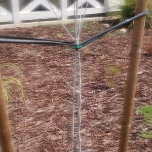 EL RANCHO NURSERY - 35 Photos & 52 Reviews - 5098 Ellsworth Rd ...