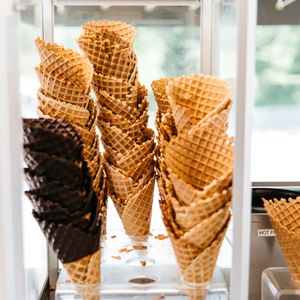 THE MOSQUITO - Updated May 2024 - 22 Photos & 66 Reviews - 1333 ...