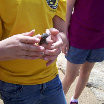 MOON ROCKS - Updated October 2025 - 45 Photos - Reno, Nevada - Active ...