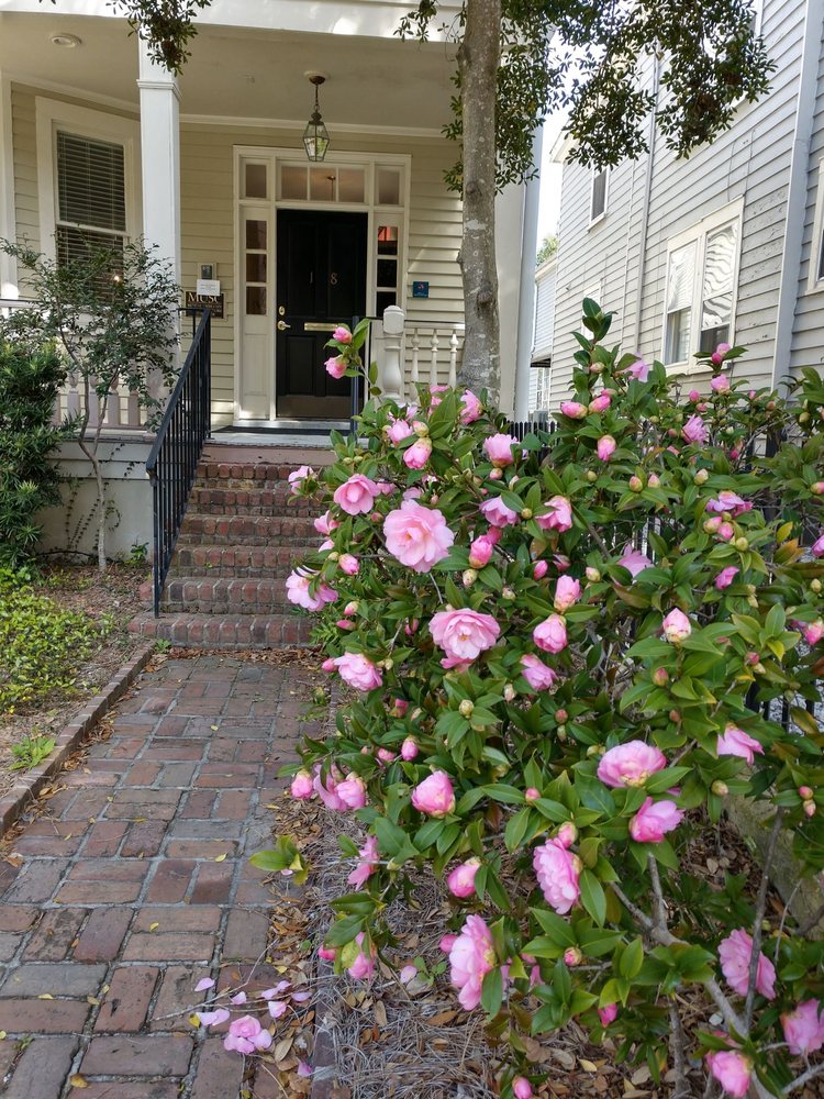 MUSC FOUNDATION - 18 Bee St, Charleston, South Carolina - Community ...