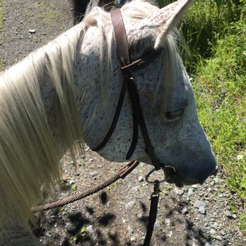 RED HAWK STABLES - Updated October 2025 - 22 Photos & 16 Reviews - 1445 ...