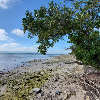 LONG KEY STATE PARK - Updated December 2025 - 181 Photos & 72 Reviews ...