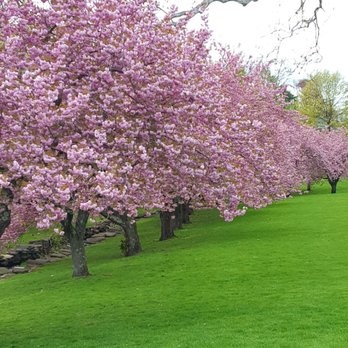 HURD PARK - Updated October 2024 - 52 Photos - W Blackwell St & Park ...