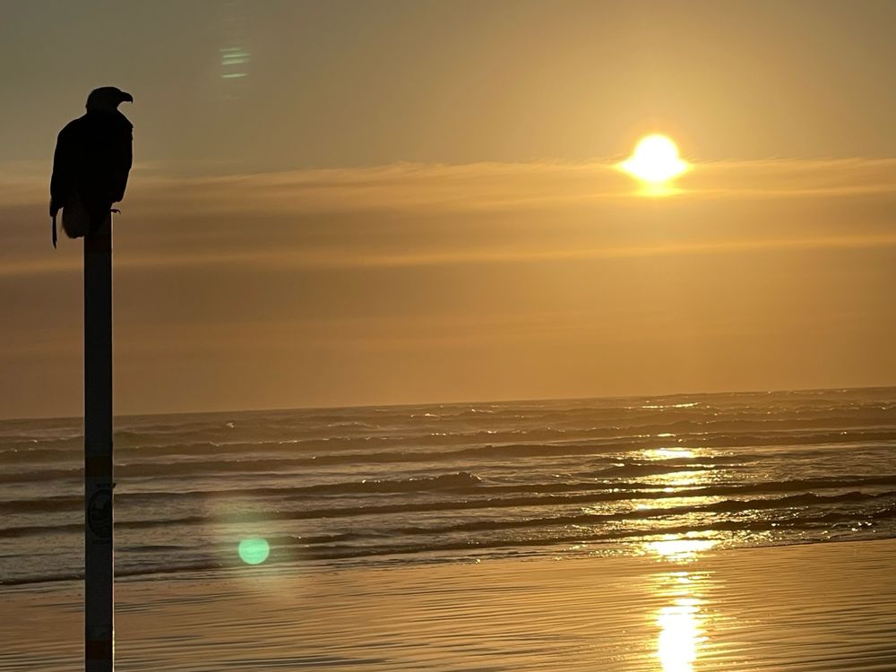 CHARLES HUBLER - JOHN L SCOTT REAL ESTATE - Updated December 2025 ...