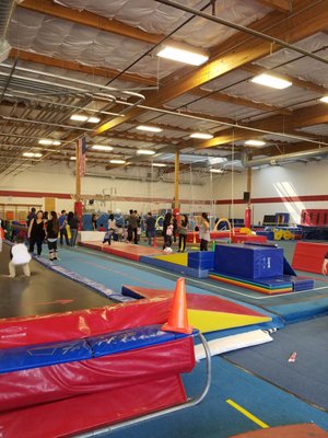 GYMTOWNE GYMNASTICS SSF - Updated December 2025 - 32 Photos & 99 ...