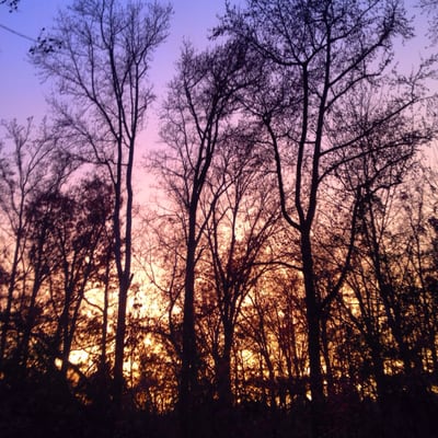 CHEATHAM ANNEX YORKTOWN NAVAL WEAPONS STATION - Updated August 2025 ...