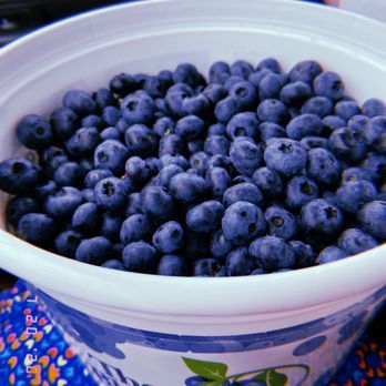 THE BLUEBERRY PATCH - Updated June 2024 - 70 Photos & 43 Reviews - 1285 ...