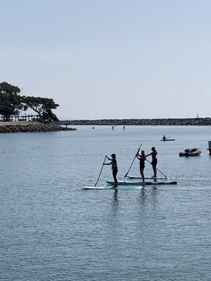 WESTWIND SAILING - Updated September 2024 - 43 Photos & 72 Reviews ...