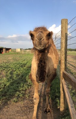 CHALK BLUFF RIVER RESORT - 102 Photos & 46 Reviews - 1108 Chalk Bluff ...