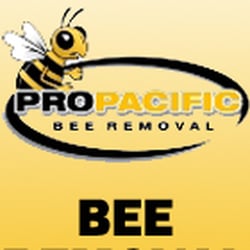 PRO PACIFIC PEST CONTROL - 44 Photos & 257 Reviews - 3026 E La Palma ...