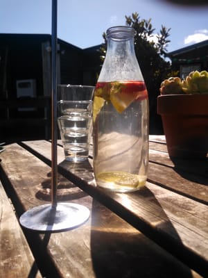 PUNNET - Updated January 2026 - 13 Photos - 337 Newell Rd, Tamahere ...