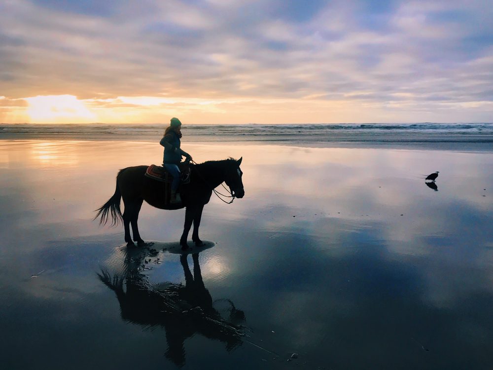 LONG BEACH HORSE RIDES - 81 Photos & 71 Reviews - Horseback Riding ...