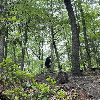 COLD SPRING HARBOR STATE PARK - Updated December 2025 - 263 Photos & 69 ...