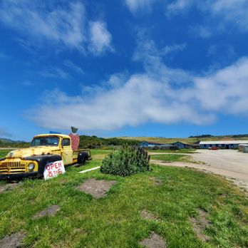 SWANTON BERRY FARM with photos - Updated August 2024 - 1105 Photos ...