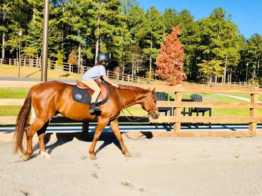 THE PINE HILL RANCH - Updated December 2024 - 27 Photos - 19513 Congo ...