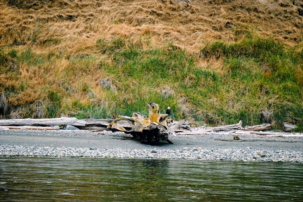 FRS CLIPPER - Updated July 2024 - 327 Photos & 400 Reviews - 2701 ...