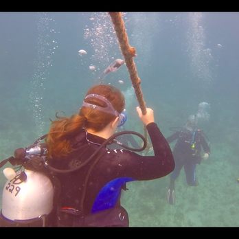 SCUBA OUTFITTERS - Updated December 2025 - 65 Photos & 10 Reviews ...