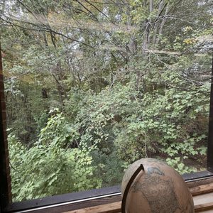 RODGERS MEMORIAL LIBRARY - Updated September 2025 - 12 Photos - 194 ...