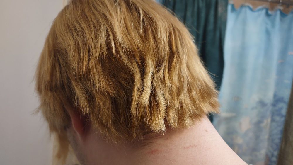 GREAT CLIPS - Updated March 2026 - 14 Reviews - 5443 S Redwood Rd ...