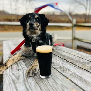 BLUE EAGLE TAVERN - Updated July 2025 - 2051 Italy Hill Rd, Branchport ...