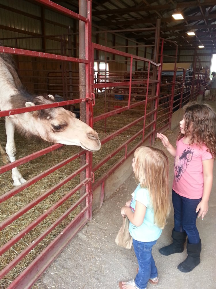 LAZY L SAFARI - Updated December 2025 - 2763 County Rd 618, Cape ...