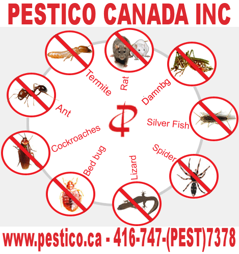 PESTICO CANADA - Updated February 2025 - 96 Wickson Trail, Scarborough ...