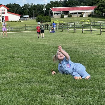 Book a Table - Howling Cow Dairy Education Center and Creamery ...