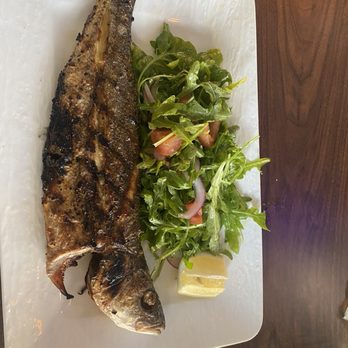 CAFE CALAMARI - Updated August 2024 - 78 Photos & 15 Reviews - 2020 1st ...