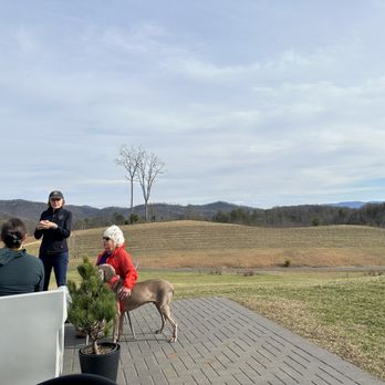 MARKED TREE VINEYARD - Updated February 2025 - 210 Photos & 74 Reviews ...