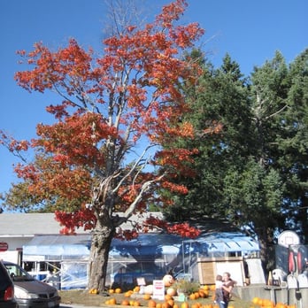 CHARLTON ORCHARDS FARM - Updated November 2025 - 12 Photos & 26 Reviews ...