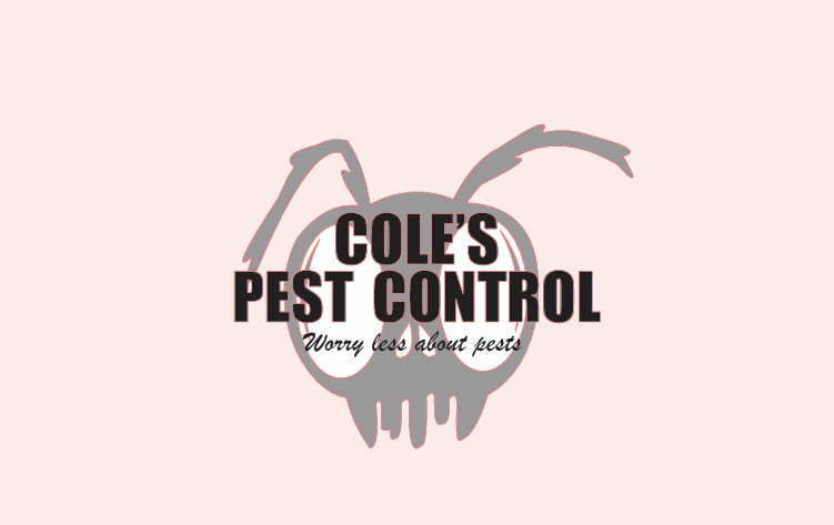 COLE’S PEST CONTROL - Updated August 2025 - Belchertown, Massachusetts ...