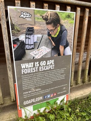 GO APE ZIPLINE & ADVENTURE PARK - Updated July 2025 - 71 Photos & 67 ...