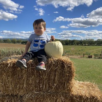 WAYSIDE FARM FUN - Updated January 2026 - 61 Photos & 21 Reviews - 5273 ...