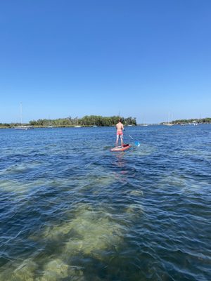 MANATEE PADDLE - Updated July 2025 - 38 Photos & 41 Reviews - 538 N ...