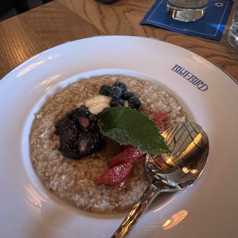 BLUEBIRD - Updated October 2024 - 107 Photos & 75 Reviews - 218 Lynx ...