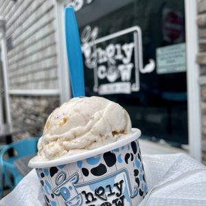 HOLY COW ICE CREAM CAFE - Updated May 2024 - 10 Reviews - 181 Fort Ave ...