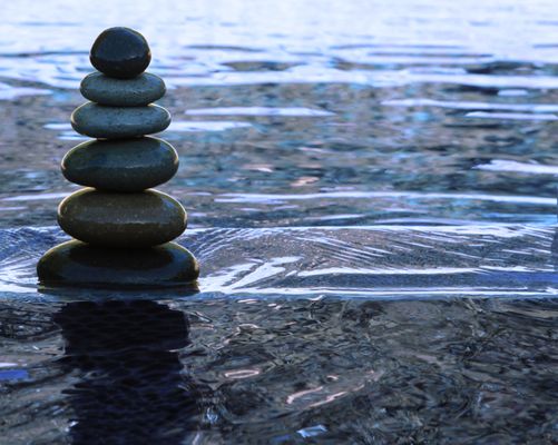 ALEXIS ANVEKAR, MD ABIHM: LIVING METHOD - Updated April 2026 - 13 ...