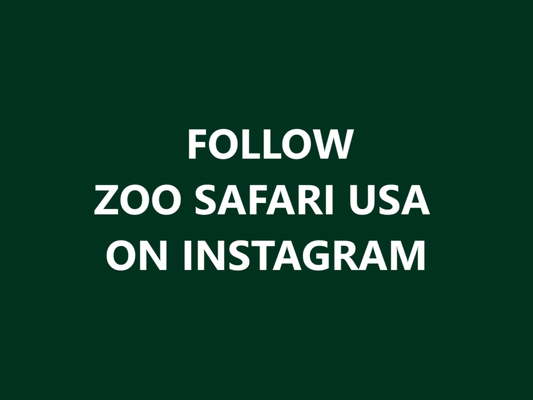 ZOO SAFARI USA - Updated October 2025 - 5301 Earbob Rd, Locust Grove ...