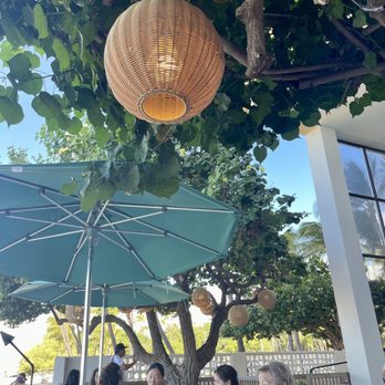 HAU TREE - 1939 Photos & 618 Reviews - 2863 Kalakaua Ave, Honolulu ...