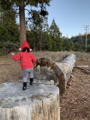 SPRING COVE CAMPGROUND - Updated December 2024 - 338 Photos & 70 ...